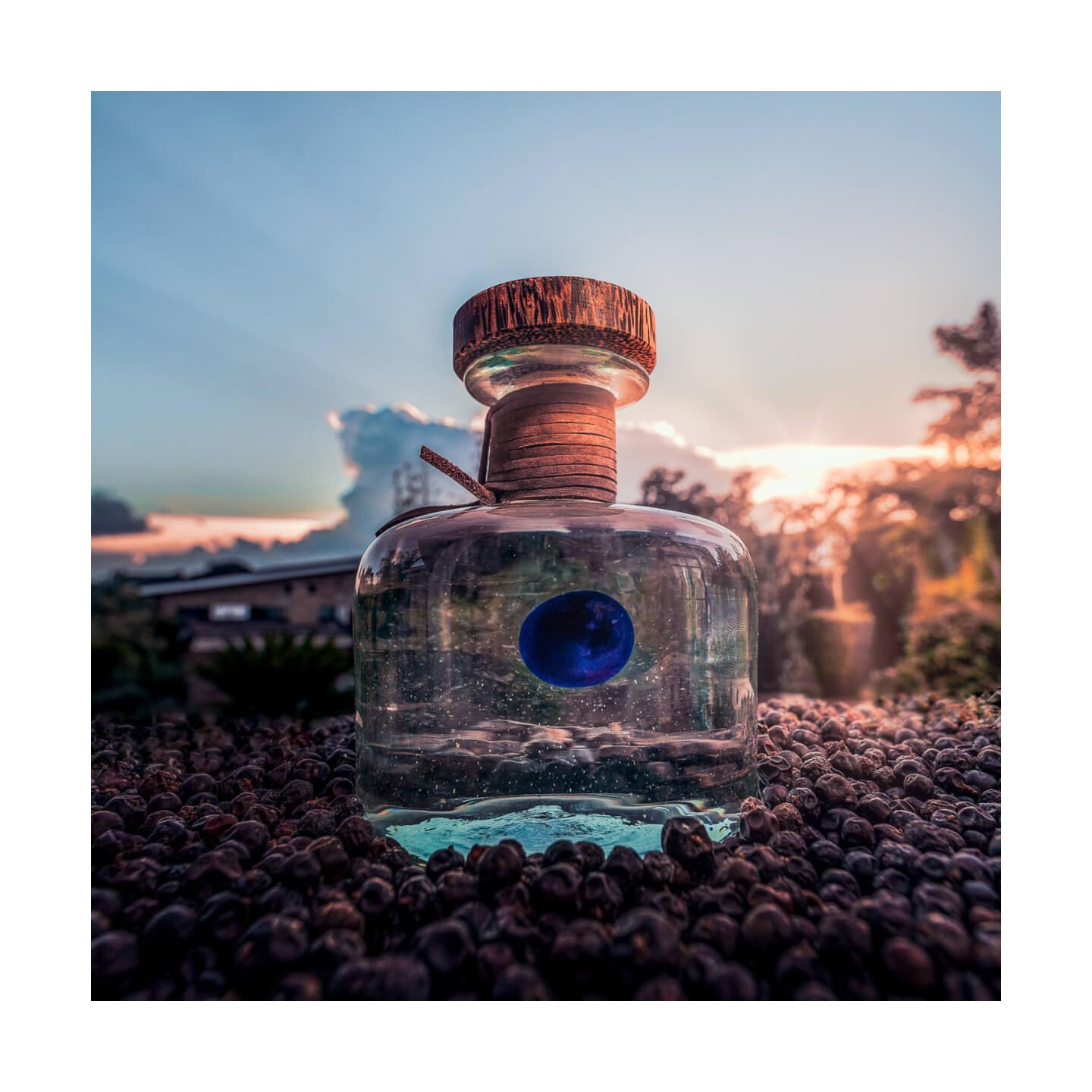 Gin Procera Point Bleu